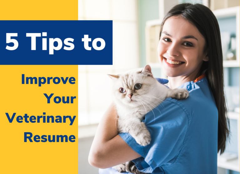 5 Ways to Improve Your Veterinary Resume - Legacy Veterinary Group
